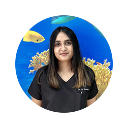 Dentists – Kromboom Dental